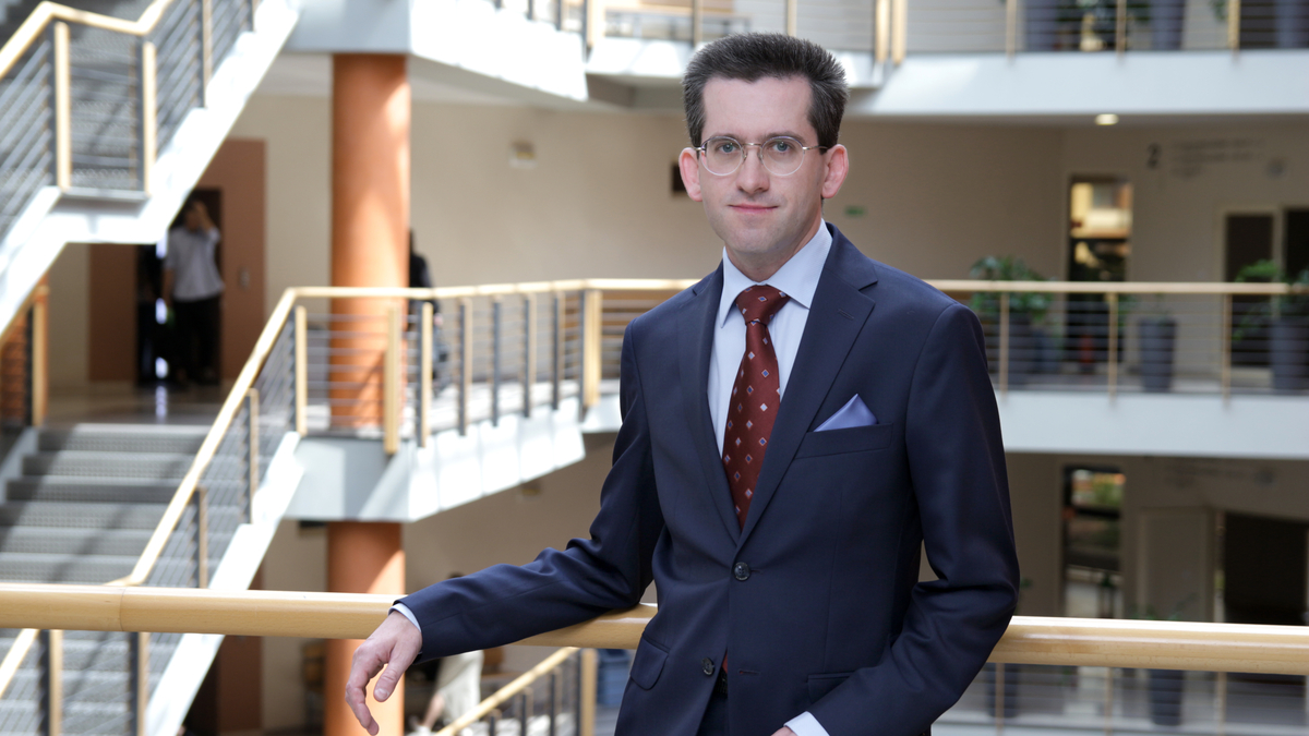 Drzewa w mieście – czy naprawdę ich potrzebujemy?